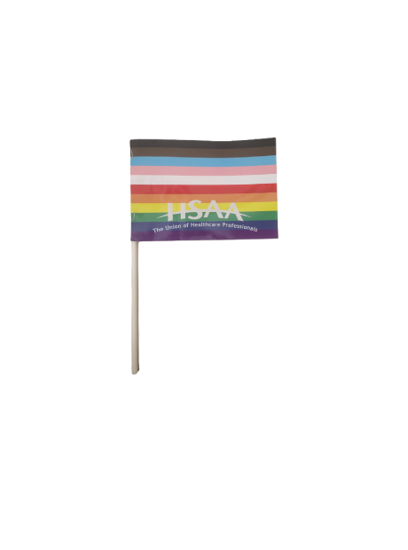 Mini Pride Flag – HSAA Store
